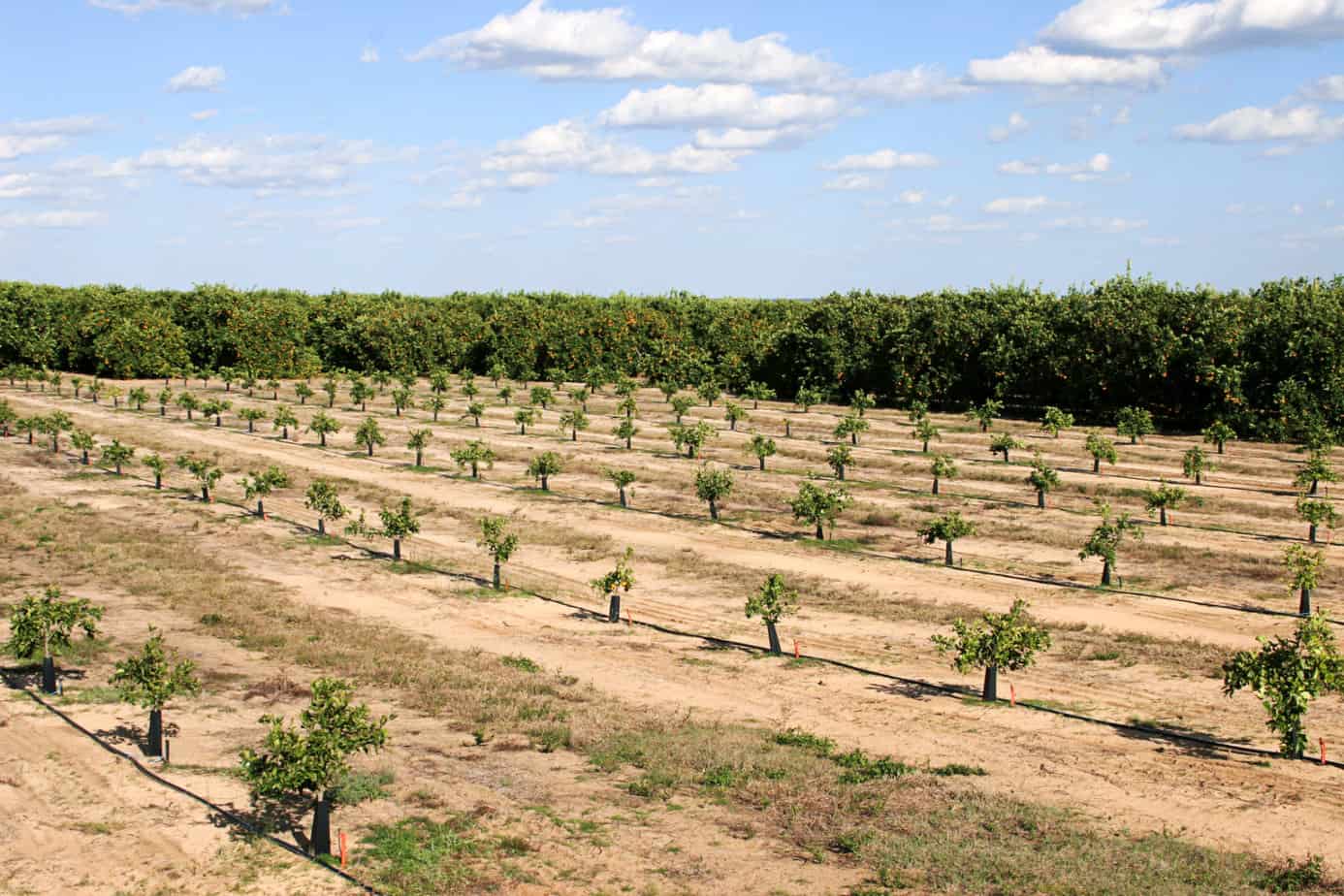 Finding a Certified Agricultural Irrigation Professional for your ...
