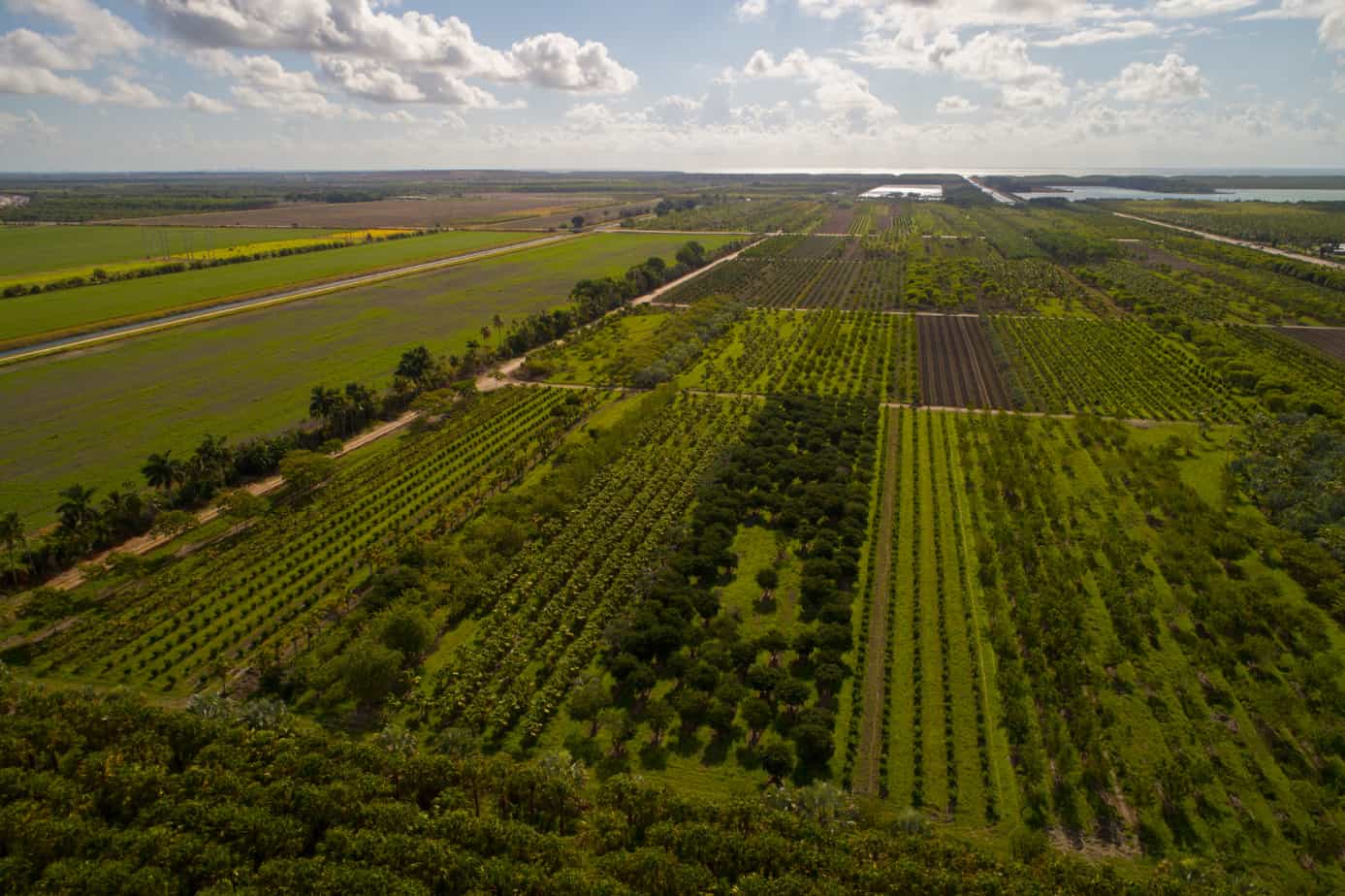 Top Five Factors to Consider When Choosing a Farm Irrigation System in ...