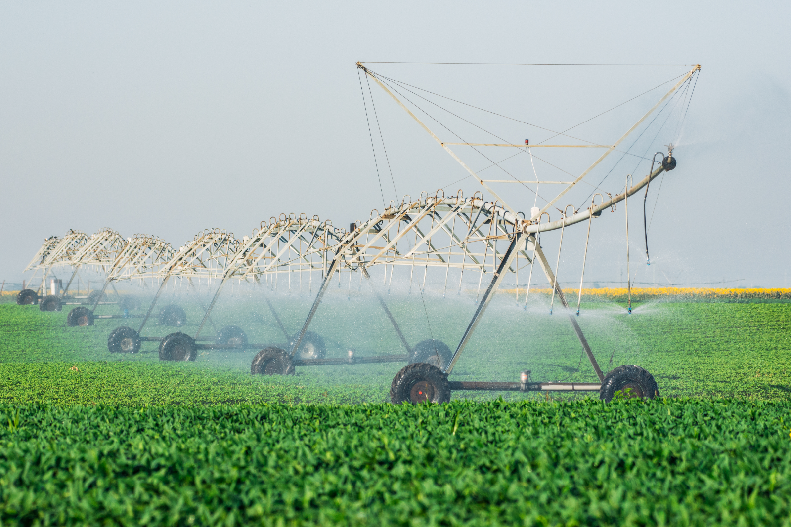 Precision Irrigation And its Benefits - Southwest Florida Service & Supply