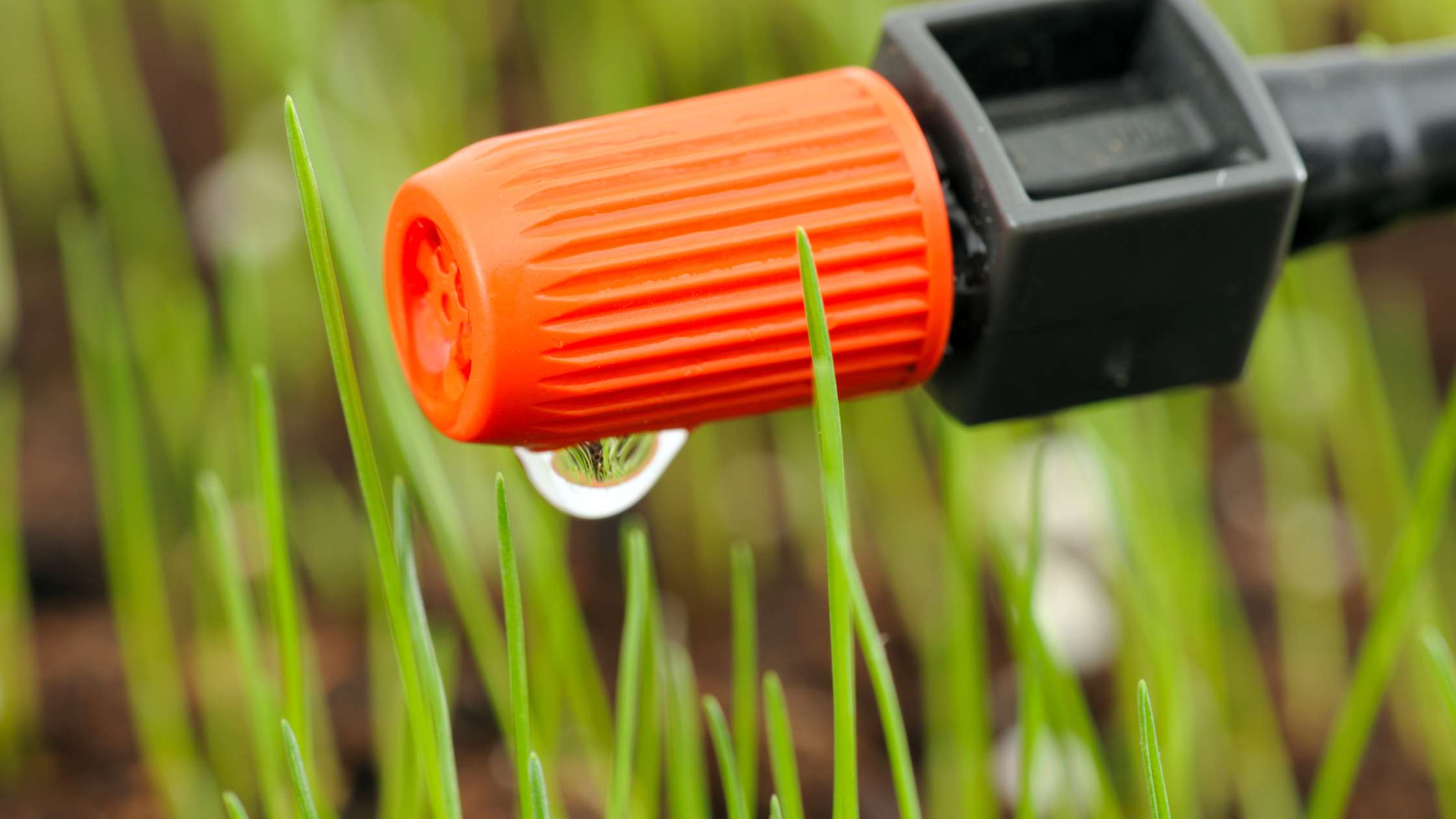 How Do You Choose The Right Drip Irrigation Emitter?
