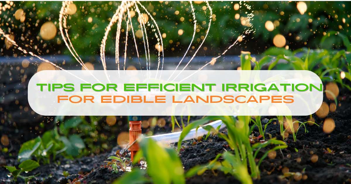 Essential Tips for Efficient Irrigation in Edible Landscapes