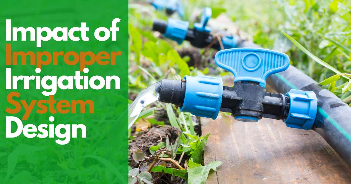 The Effect of Improper Irrigation System Design