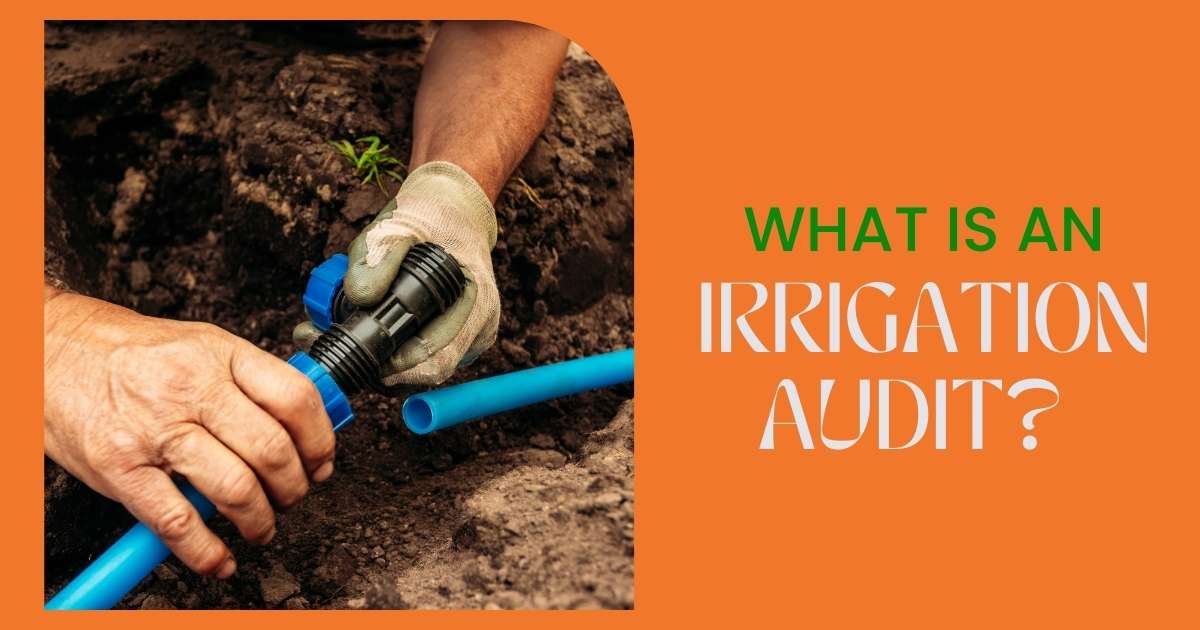 Irrigation Audit: All You Need To Know