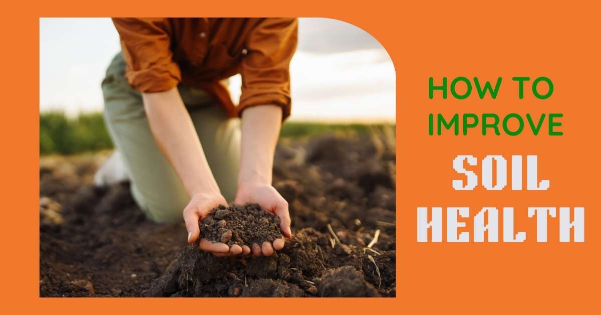 How To Improve Soil Health - Southwest Florida Service & Supply