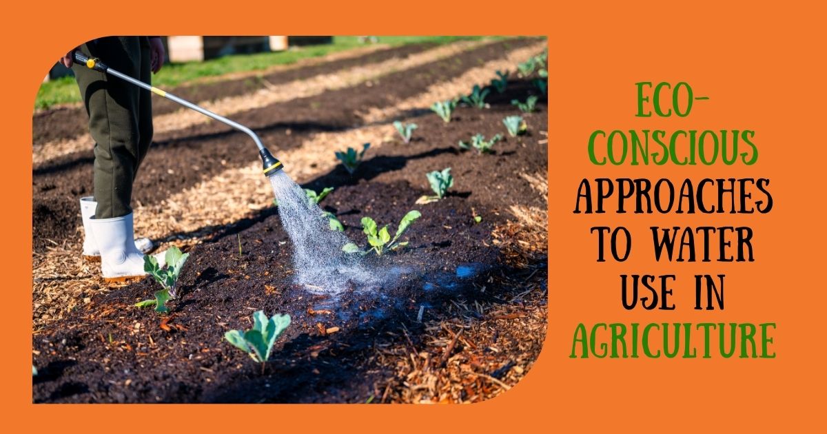Eco-Conscious Approaches to Water Use in Agriculture - Southwest ...